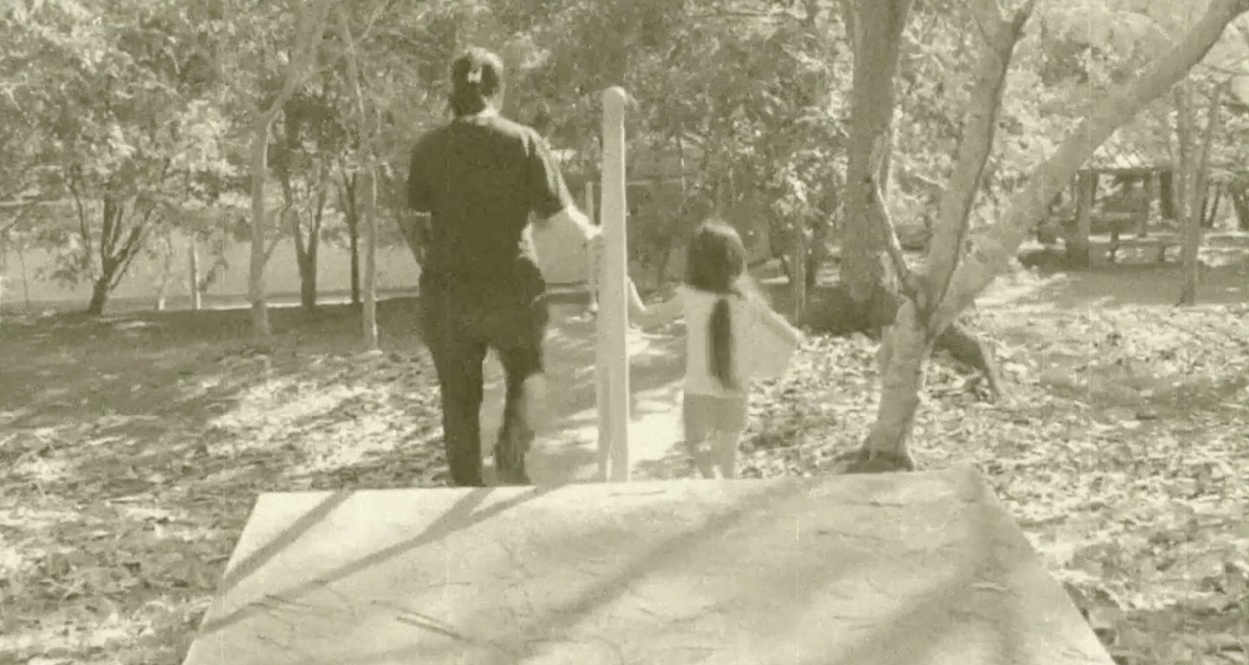 Trapo – Los Cortos – Short Films. Big Stories